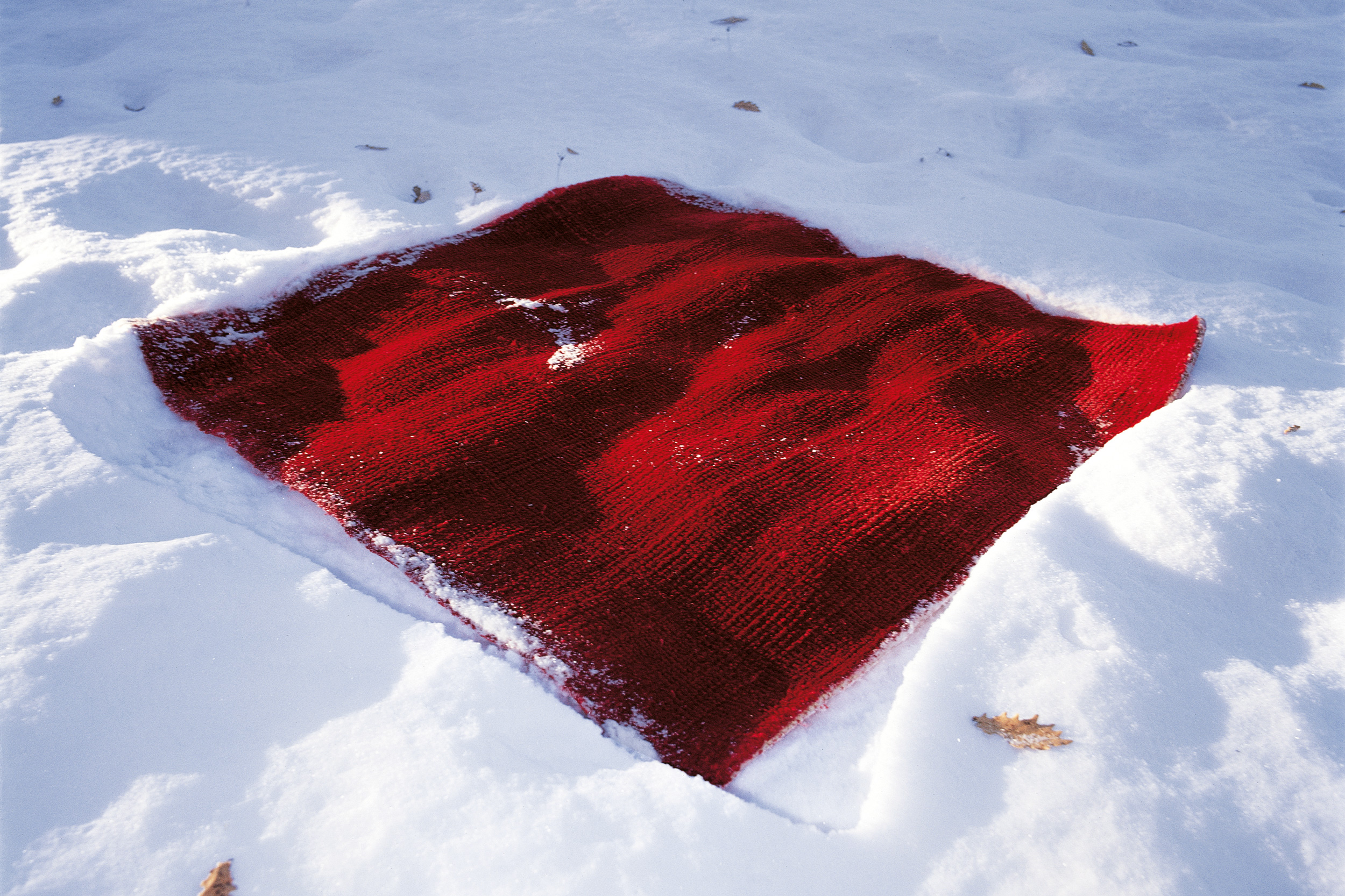 G.T.DESIGN Pioneers of the Contemporary Rug | Italian Design